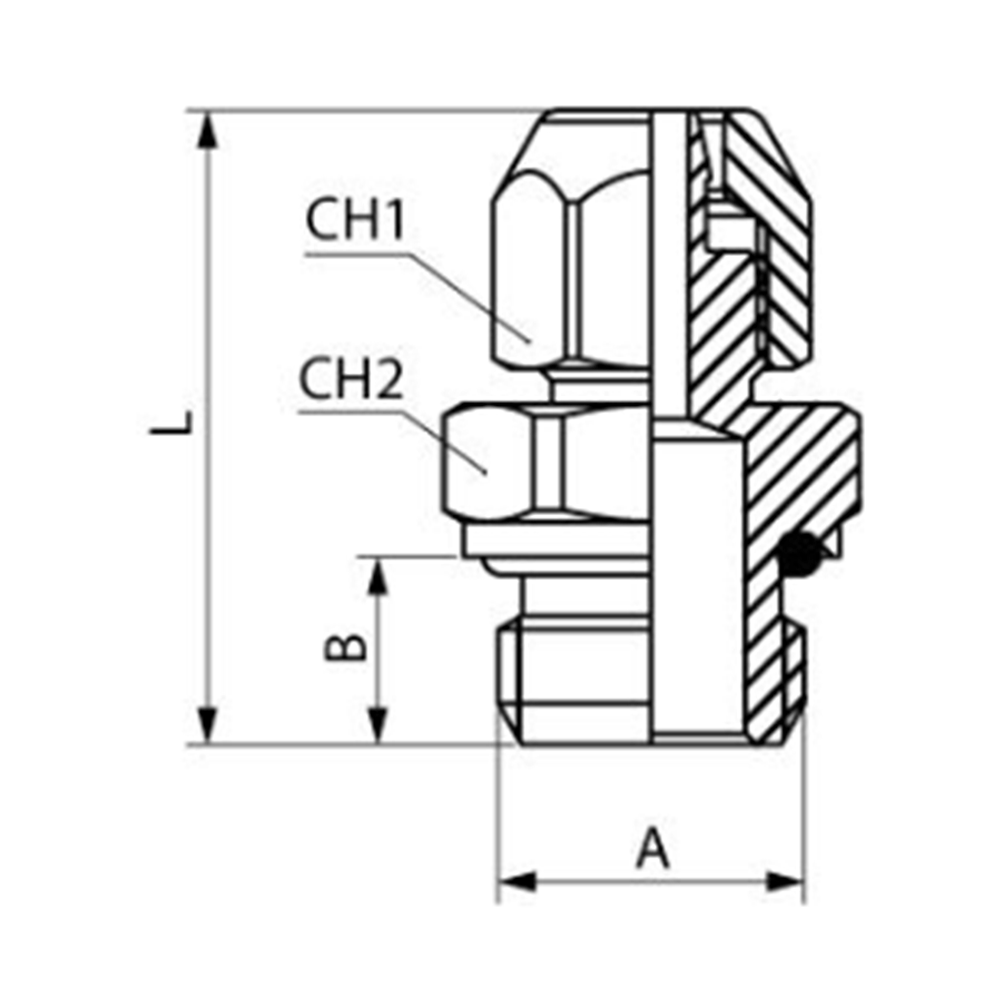 RVS316 RECHTE OSK Ø10-8 x G3/8 BUI - | Q Plus B.V.